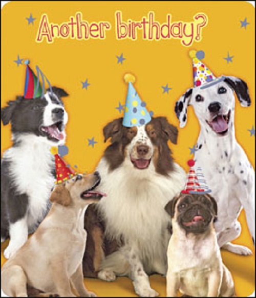 Funny Dogs Woofing Barking Birthday Sound Card Noisy Inventions 