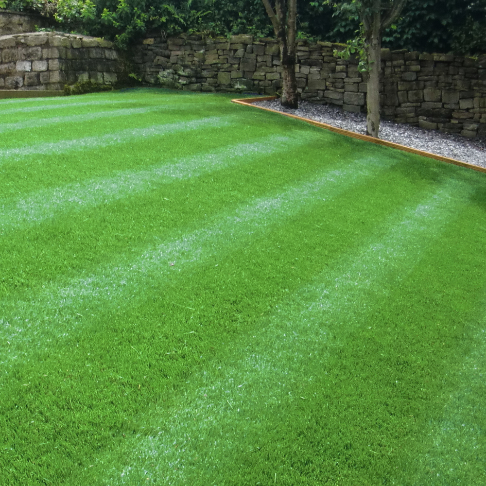 GroundMaster HardWearing Tough Garden Premium Back Lawn Grass Seed ...