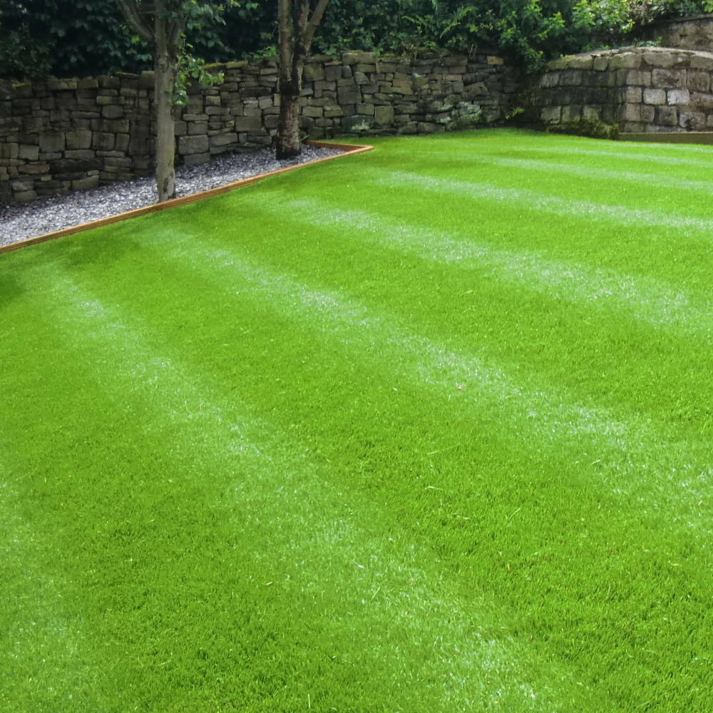 GroundMaster General Purpose Garden Premium Back Lawn Grass Seed ...