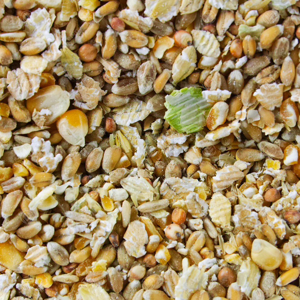 GardenersDream Duck & Goose Mix - Nutritious Food Protein-Rich Feed For ...