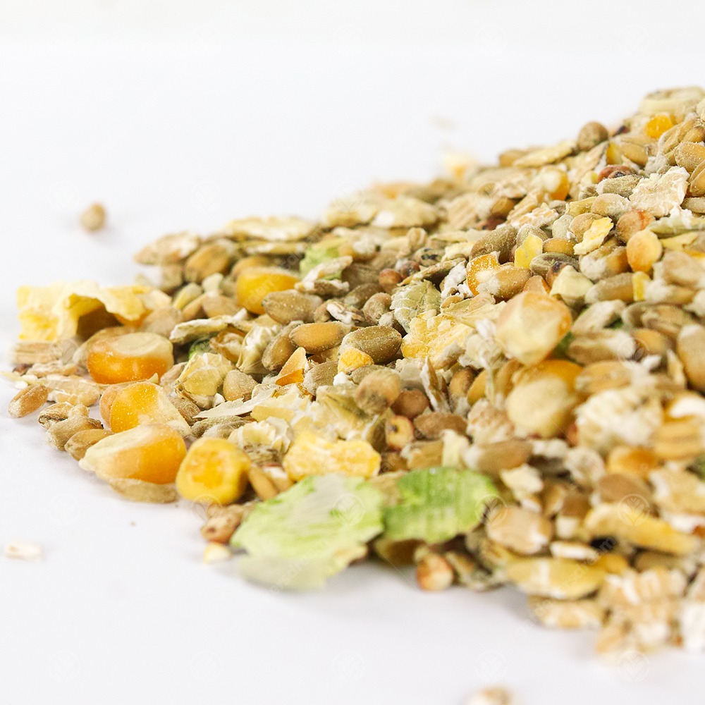 GardenersDream Duck & Goose Mix - Nutritious Food Protein-Rich Feed For ...