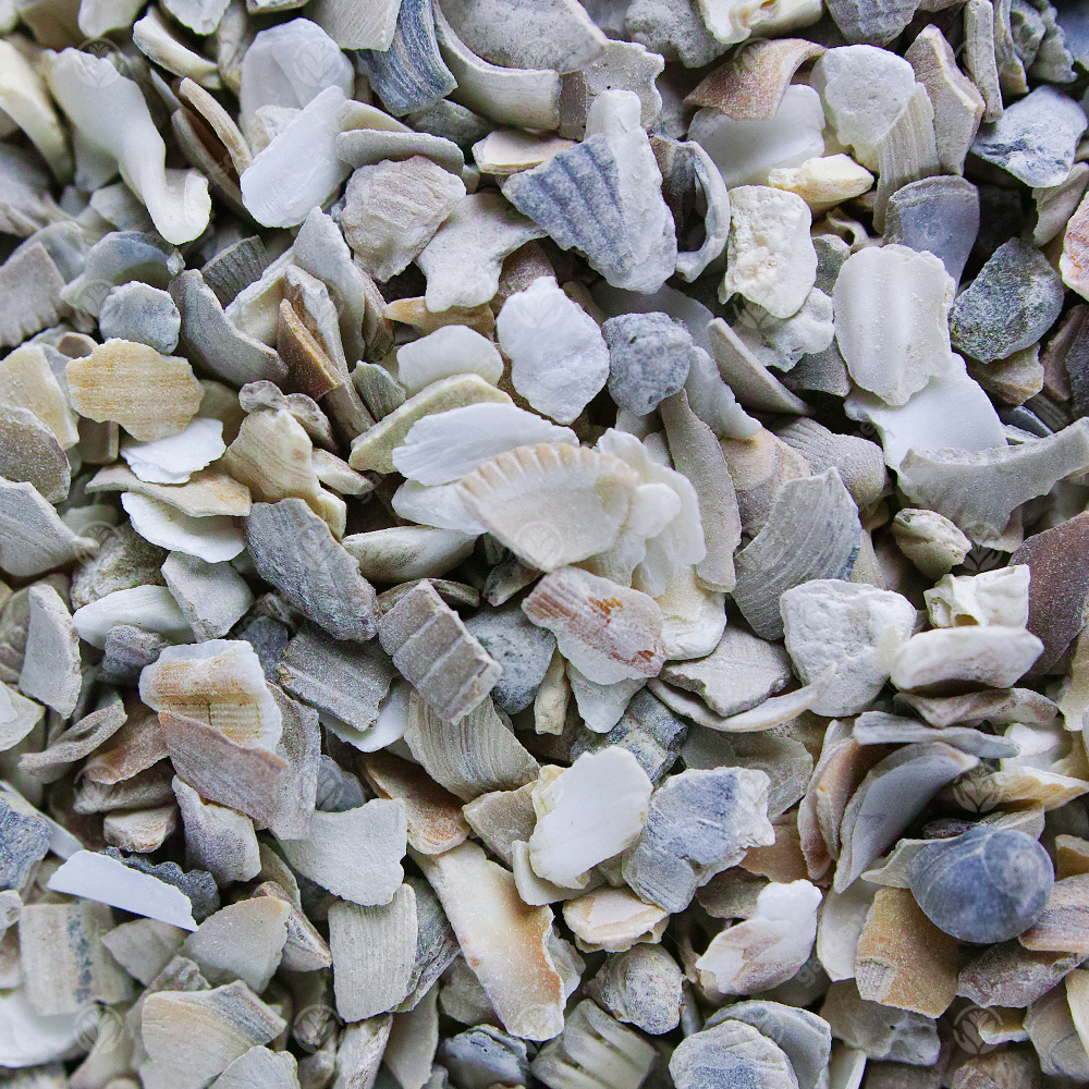 GardenersDream Hen Sized Oyster Shell - Calcium Filled Grit Food For ...