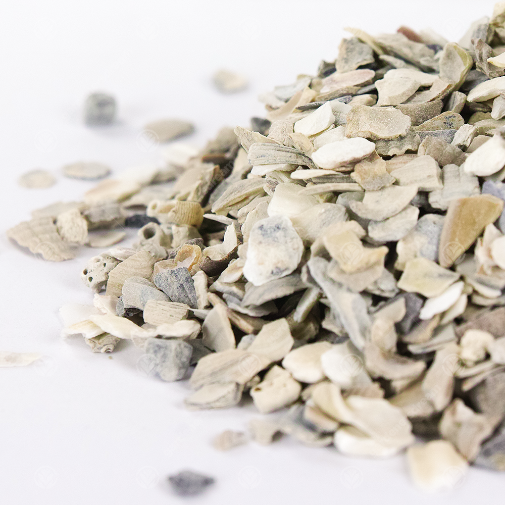 GardenersDream Hen Sized Oyster Shell - Calcium Rich Poultry Grit Food ...