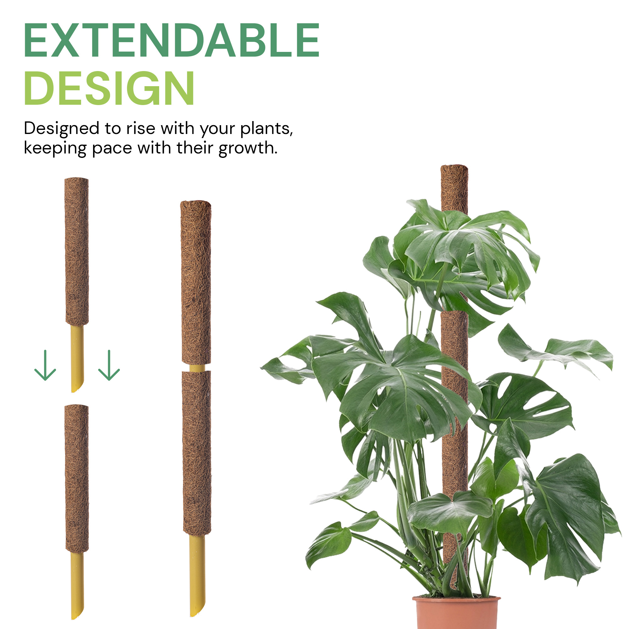 60cm Coir Moss Pole – Stackable Coco Coir Plant Stake for Monstera ...