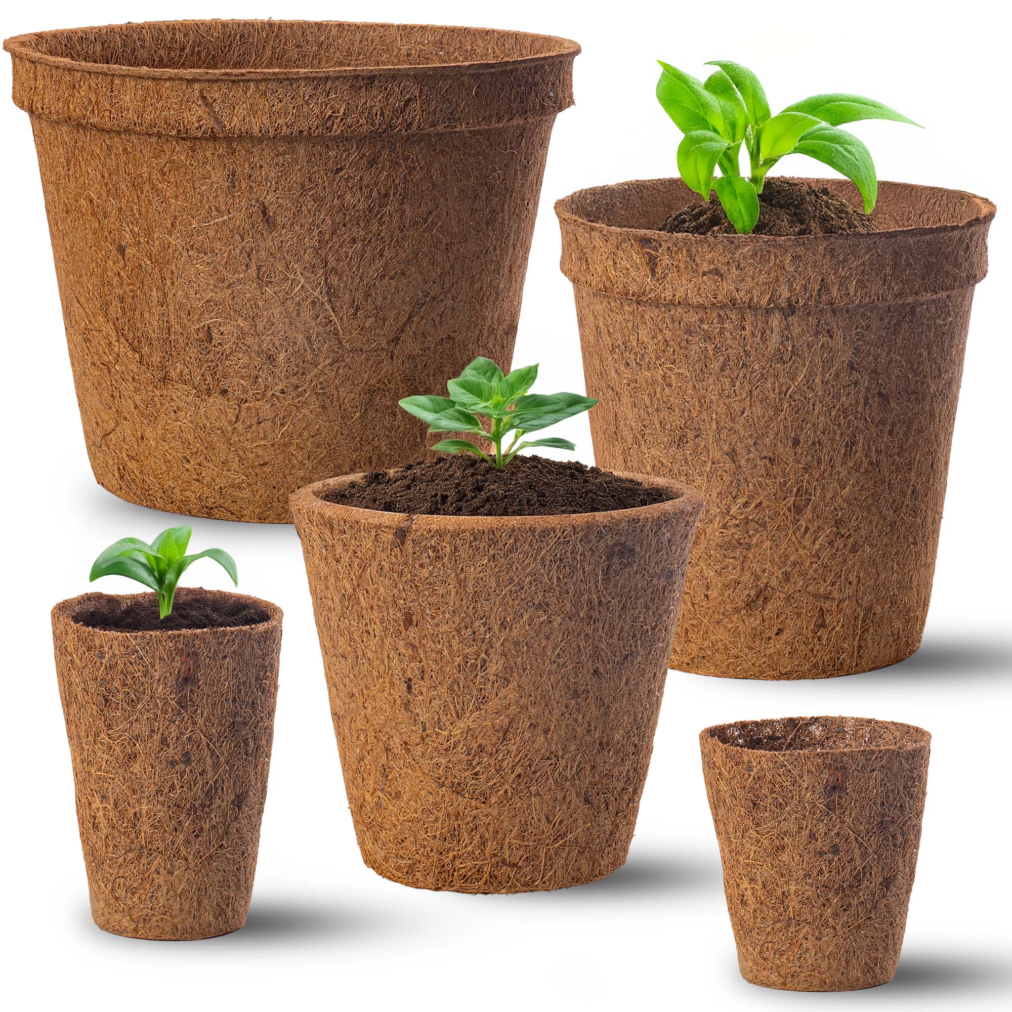 Biodegradable Coir Plant Pots Eco-Friendly Coconut Fibre for Seedlings ...
