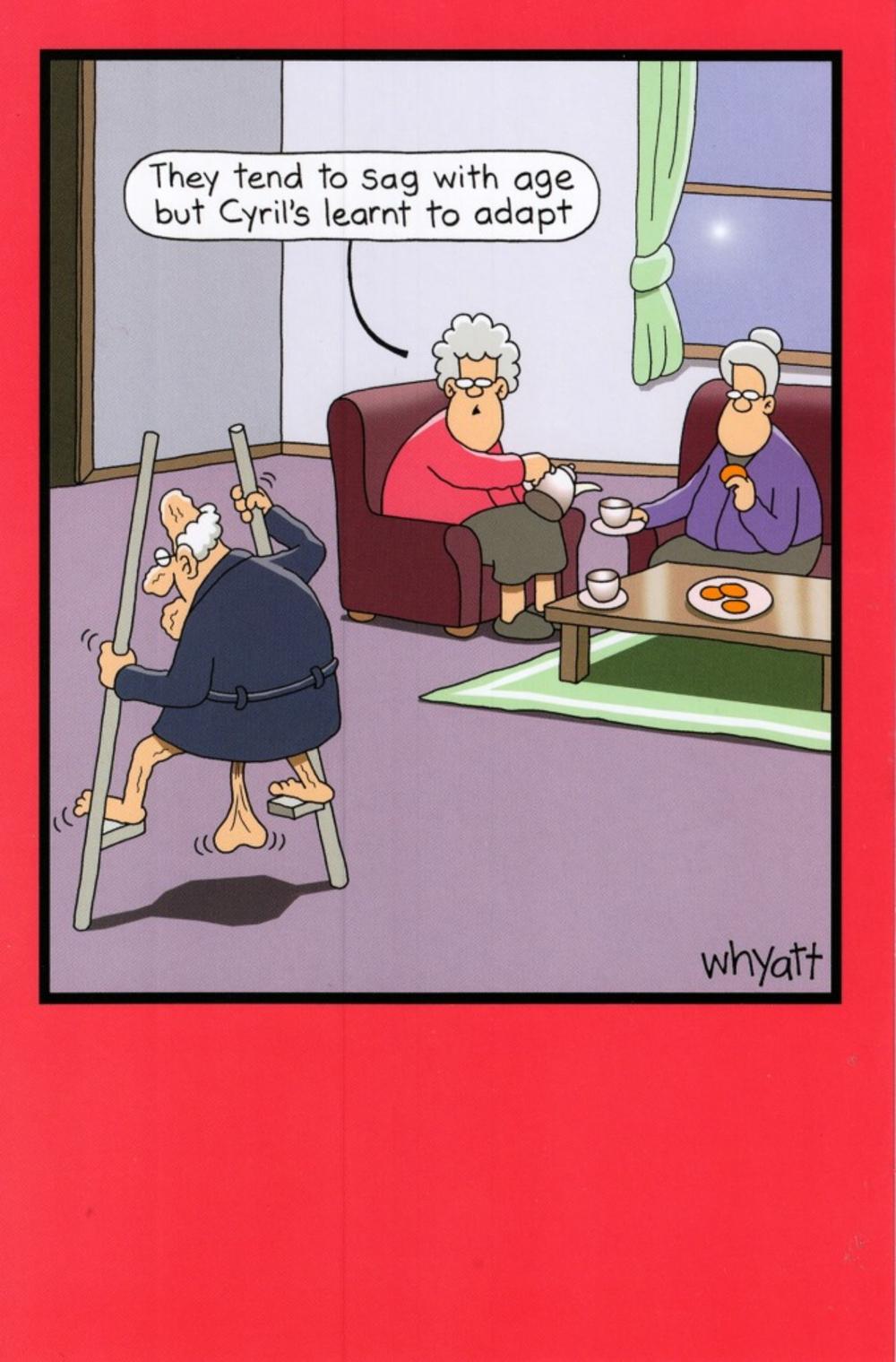 Funny Sag WIth Age Year Birthday Greeting Card Cards Love Kates