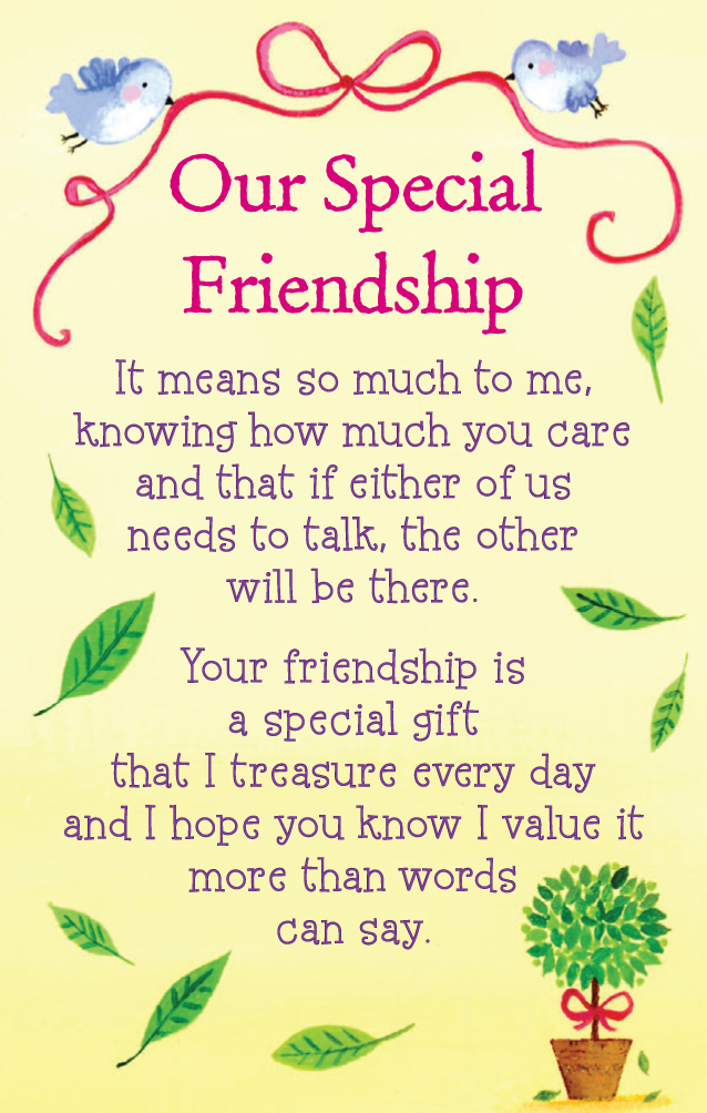 Our Special Friendship Heartwarmers Keepsake Card Gifts