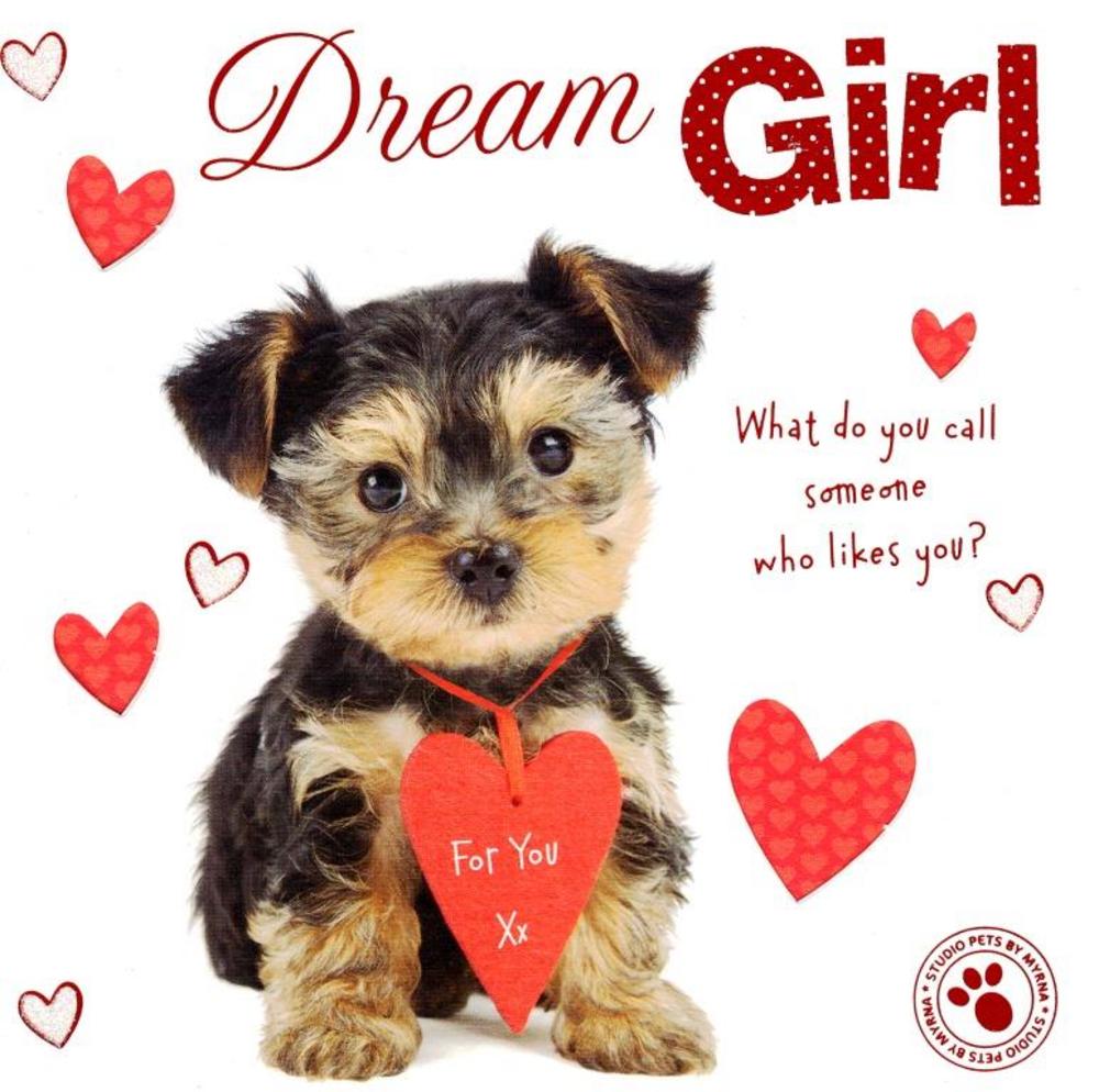 Dream Girl Cute Terrier Puppy Valentine s Day Card Cards