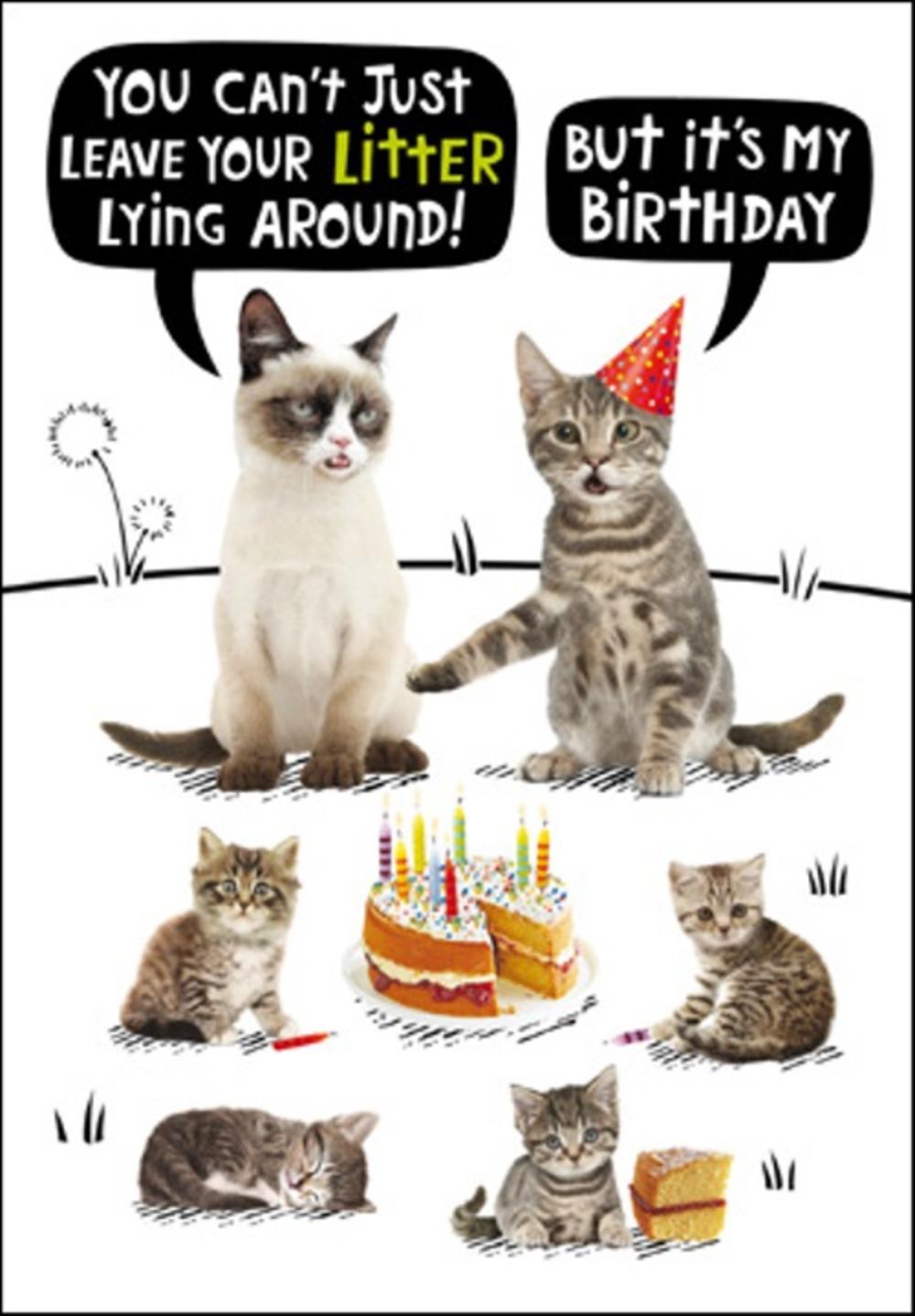 Cat Litter Birthday Funny Birthday Card Cards