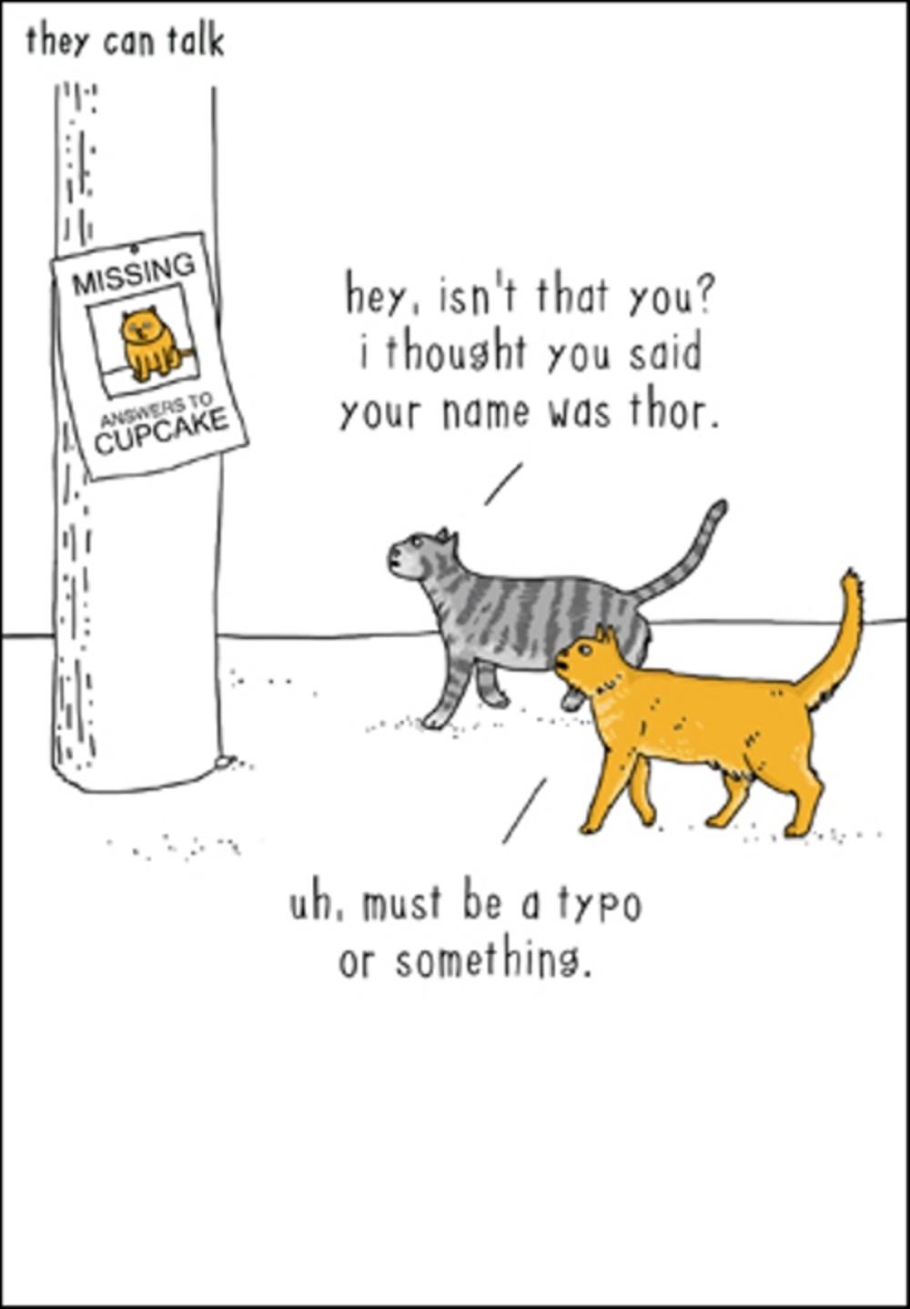 Missing Cat Poster Funny They Can Talk Greeting Card Cards