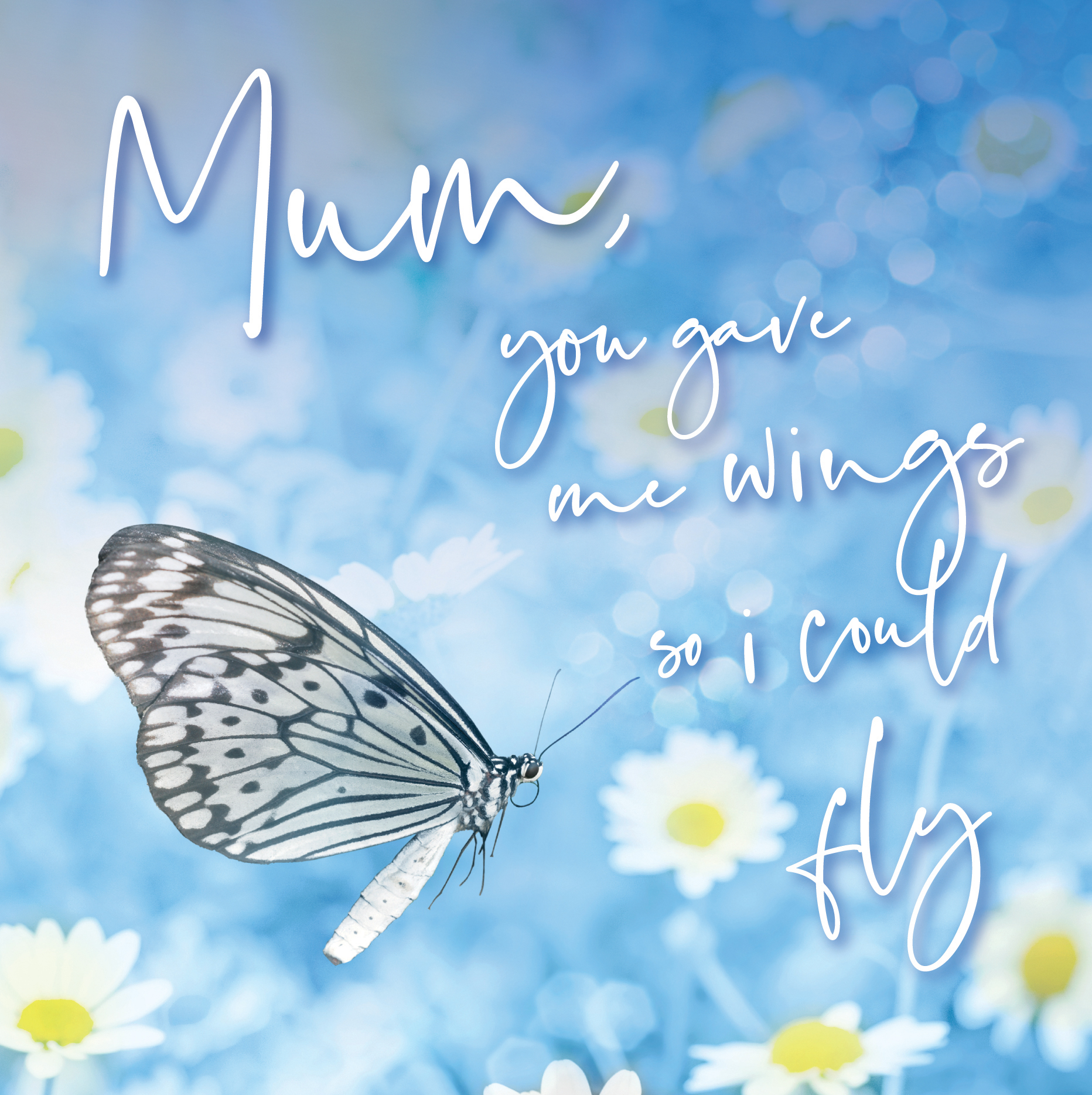 Mum You Gave Me Wings So I Could Fly Mother's Day Card | Cards