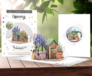 Love Kate's | Online Card Shop | Greeting Cards Online