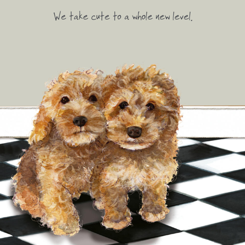 Mad Cockapoo Little Dog Laughed Greeting Card | Cards
