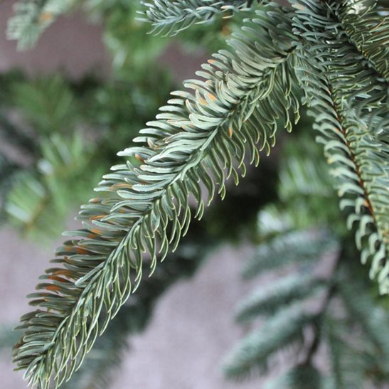Everlands Nobilis Fir Christmas Tree